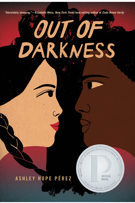 Young Adult Fiction - Social Justice Books