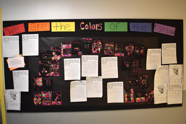 Black Is a Rainbow Color - Social Justice Books